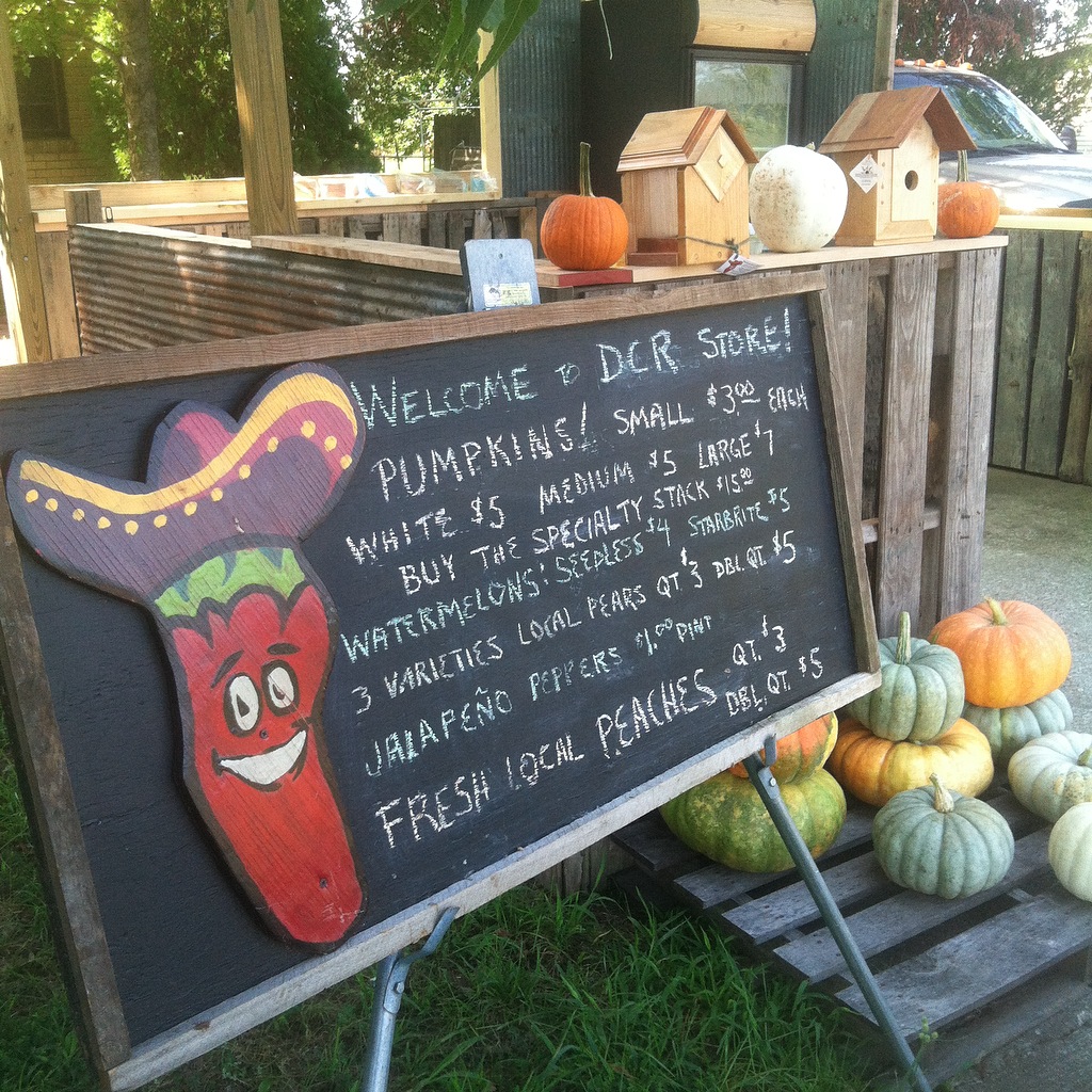 Dixie Chile Ranch – We’ve grown it fresh and local since 2010