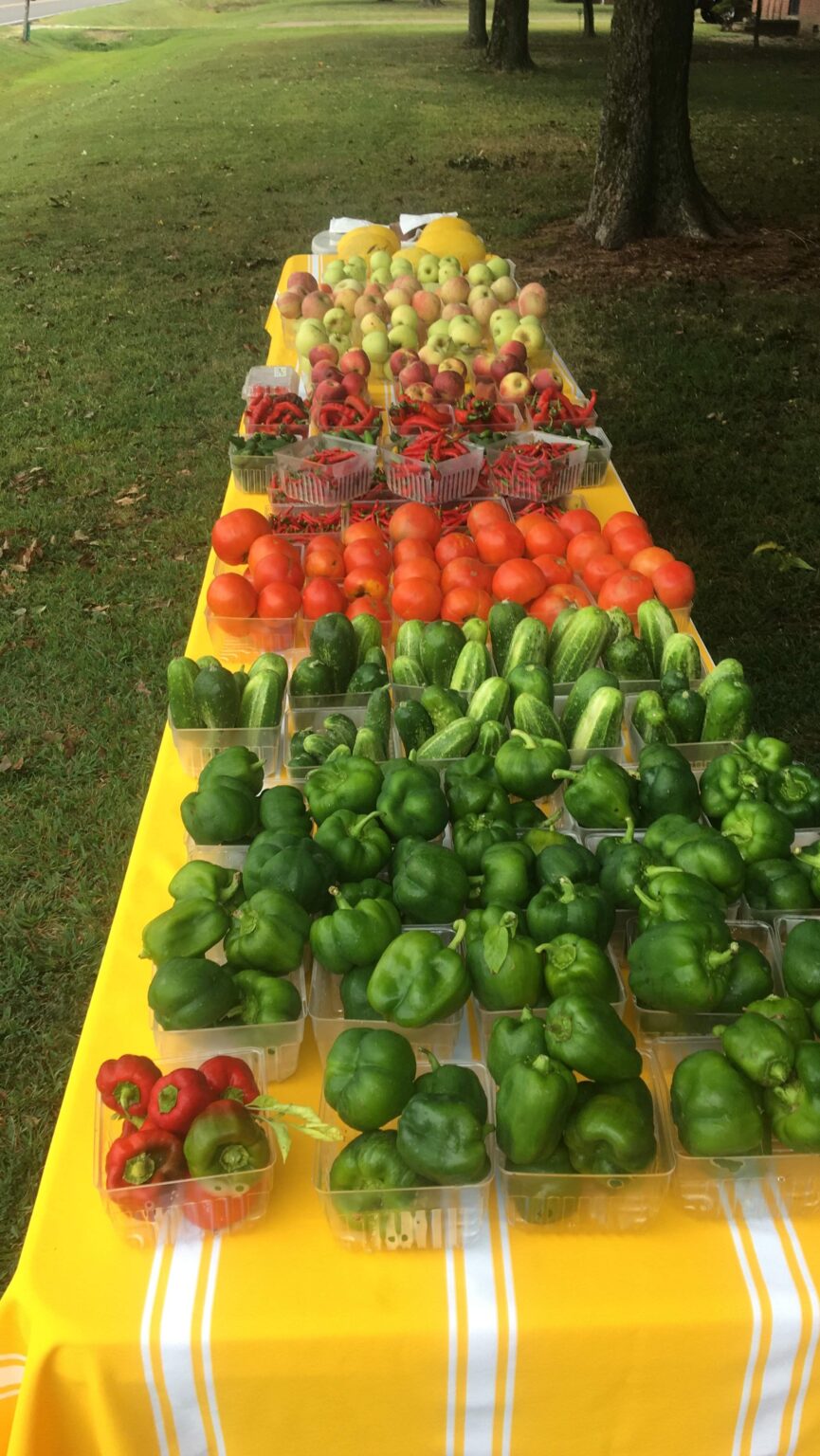 3-14 2024 Dixie Chile Ranch Update – Dixie Chile Ranch